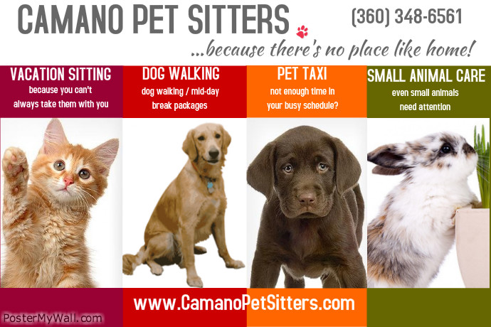 Pet Sitter Poster Template PosterMyWall